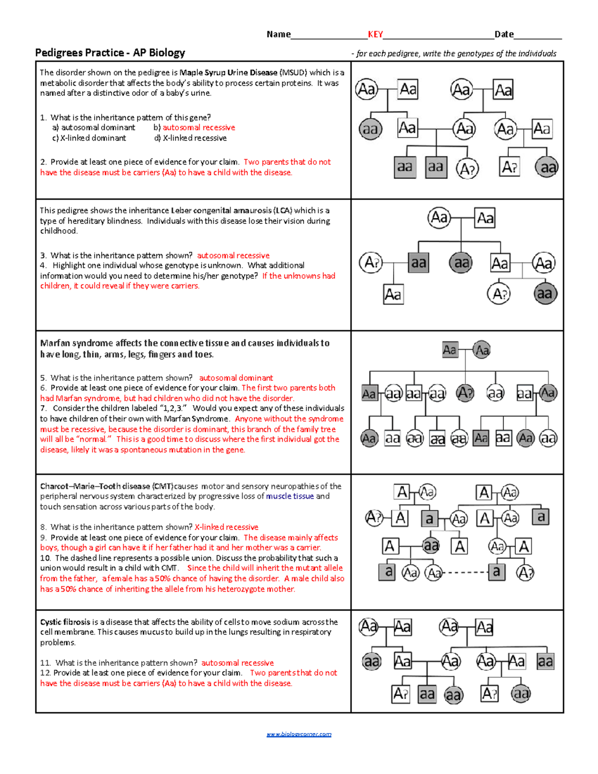 Pedigree Analysis APBiology KEY 1 - Name________________KEY ...