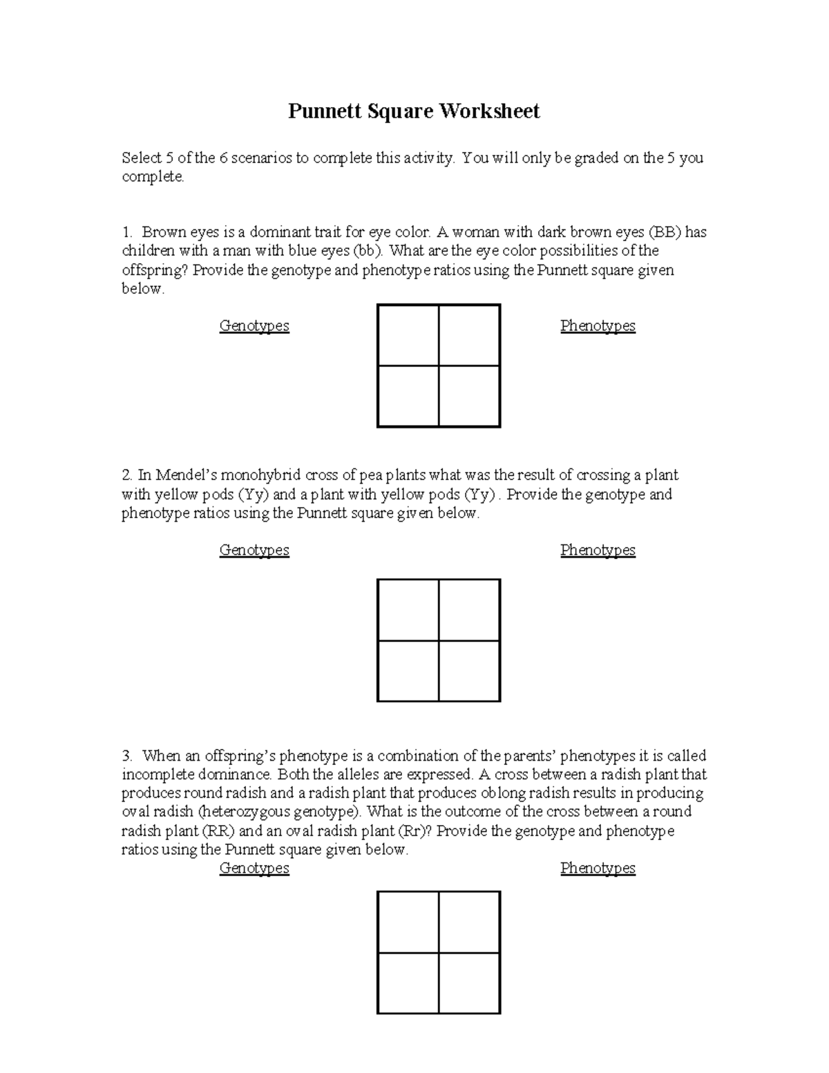 Punnett Square Activity: Genotype & Phenotype Analysis - Studocu