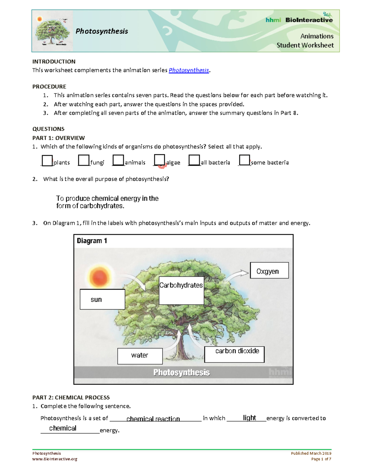 HHMI Photosynthesis Animation (11) - Photosynthesis Published March ...