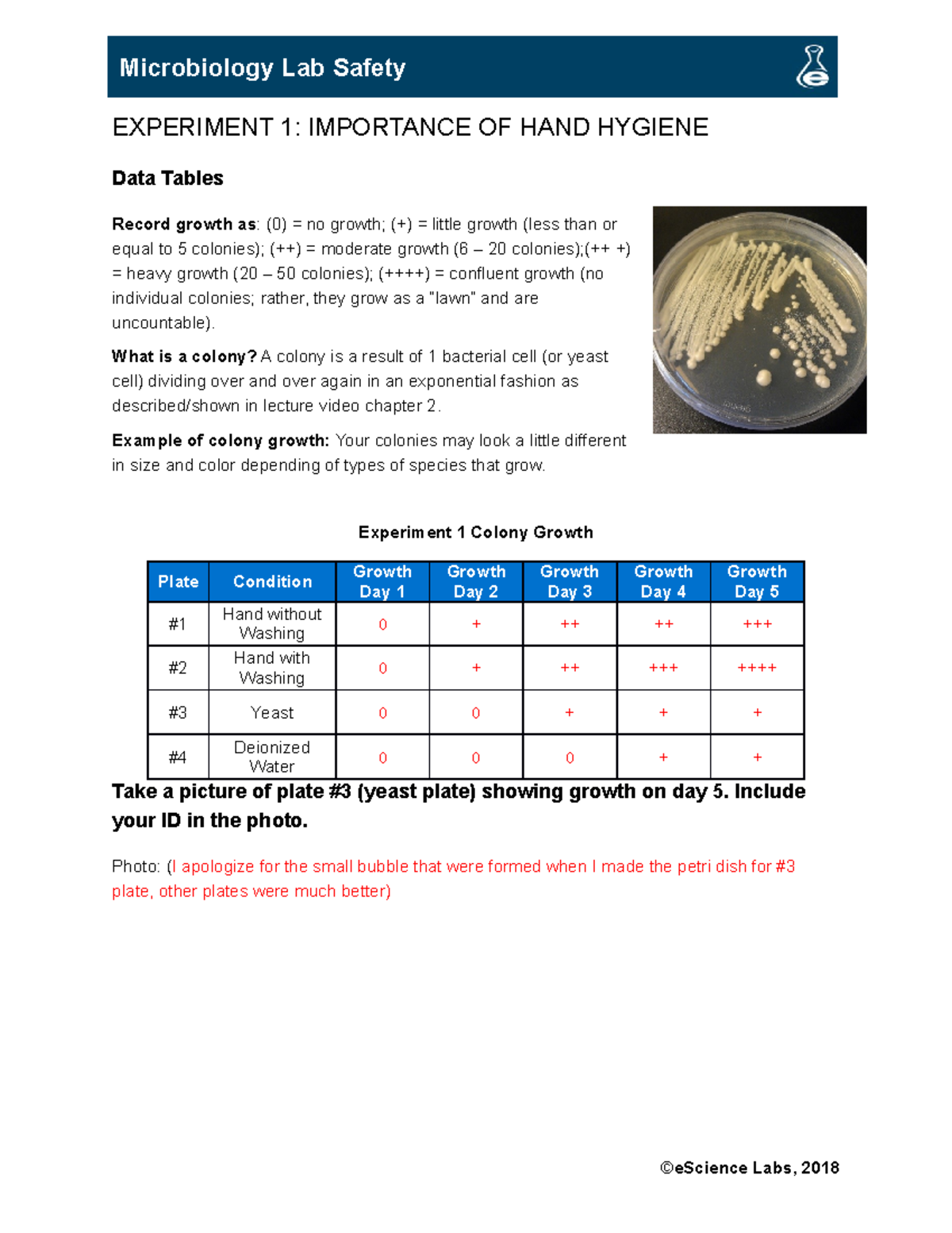 Lab2-Hand-Hygiene-Lab-Results(2) - Microbiology Lab Safety EXPERIMENT 1 ...