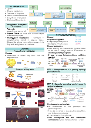 MTLB-Lesson-1-RA-11166 - Midterms Lesson 1: RA 11166 MLS 406 – Medical Technology Laws and ...
