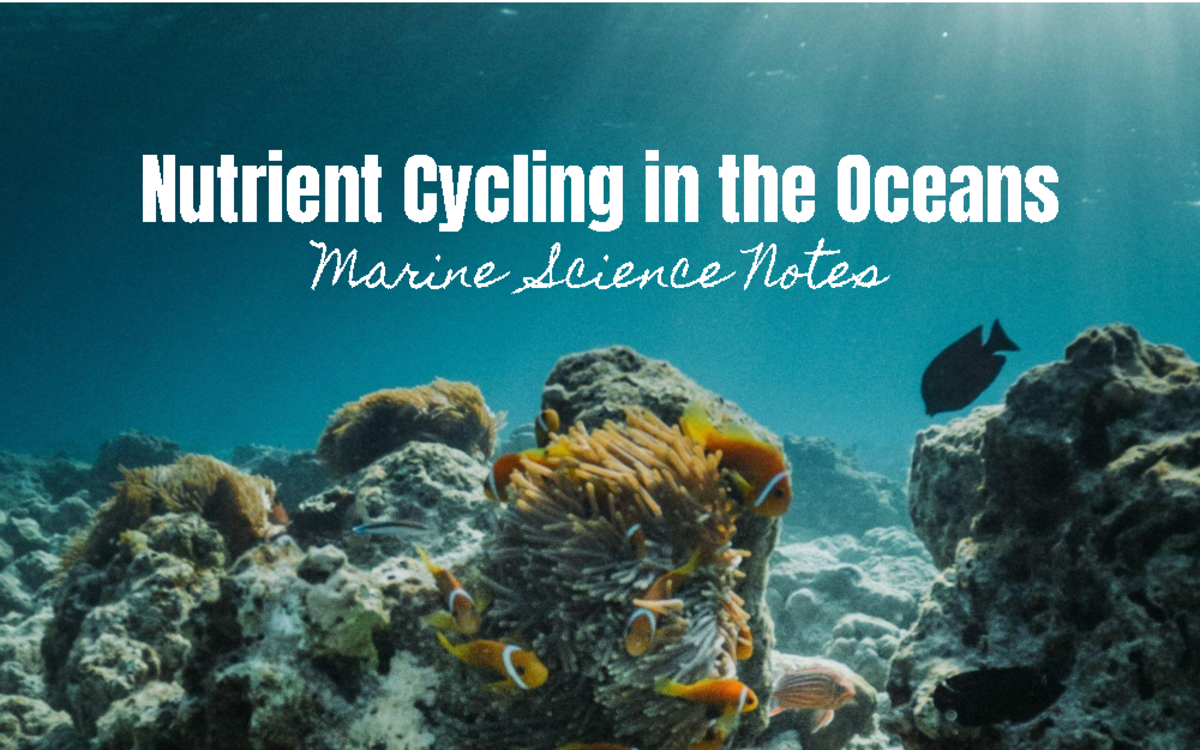 Nutrient Cycling in the Oceans - Nutrient Cycling in the Oceans ...