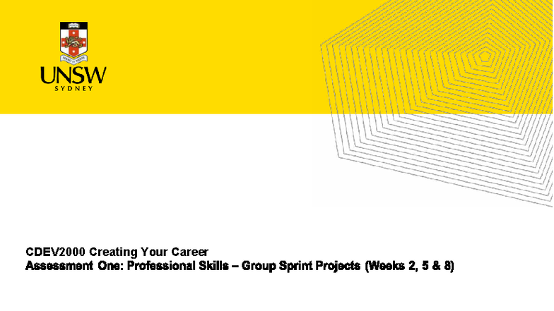 CDEV2000 Professional Skills Assessment: Career Development Strategies ...