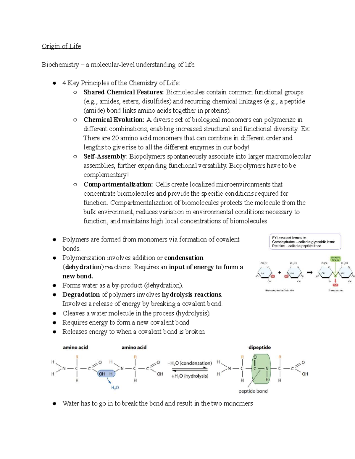 BCH2333 DGD 1 - Key Principles of Biochemistry and Life Origins - Studocu