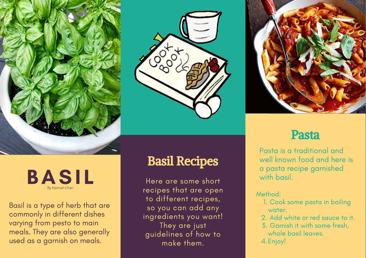 Year 8 Food Tech: Basil Recipes and Pasta Preparation Guide - Studocu
