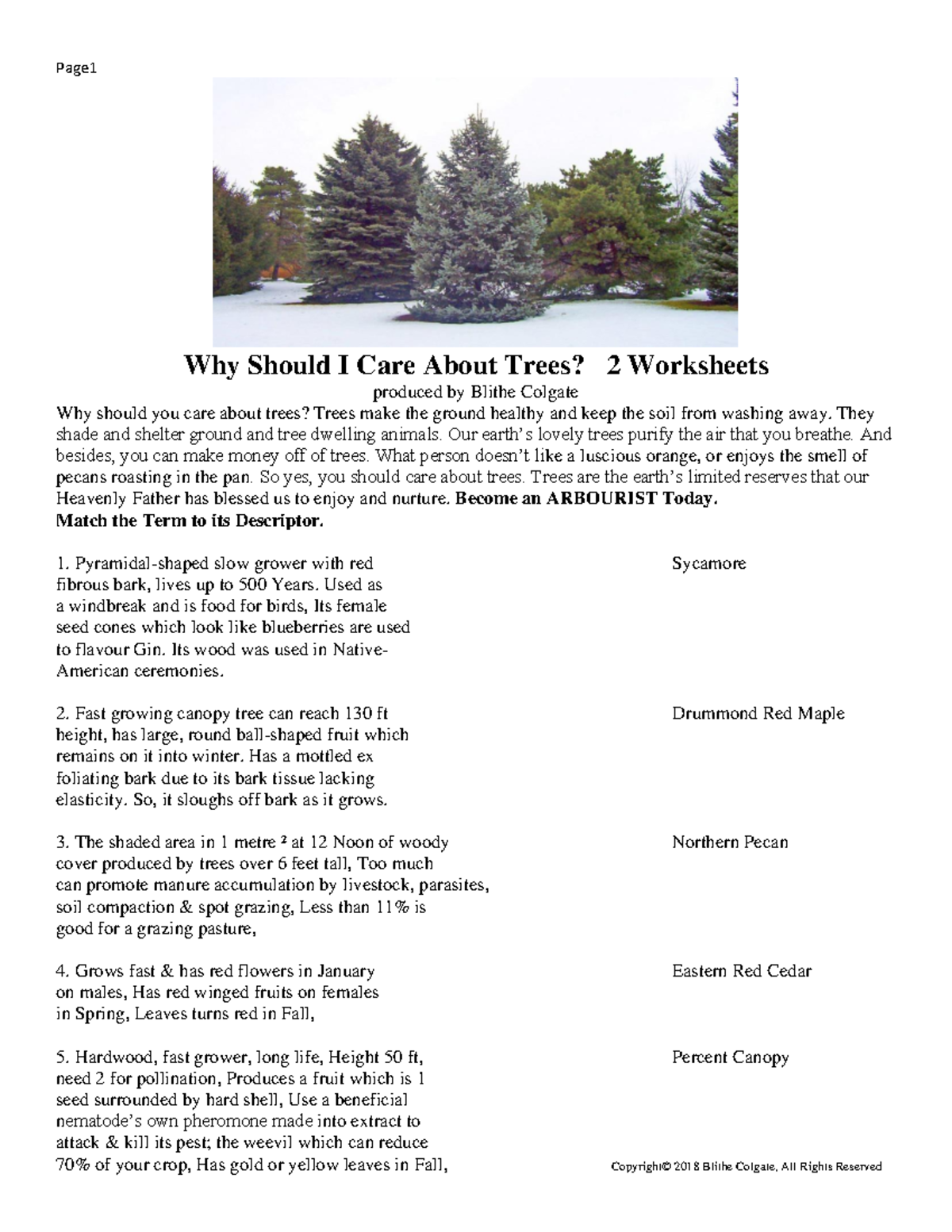 Braylon McBride - Why You Should Care About Trees Worksheets - Studocu
