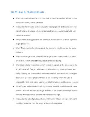 Lab 4 Questions - lab answers - Lab 4: How Enzymes Function Pre-Lab ...