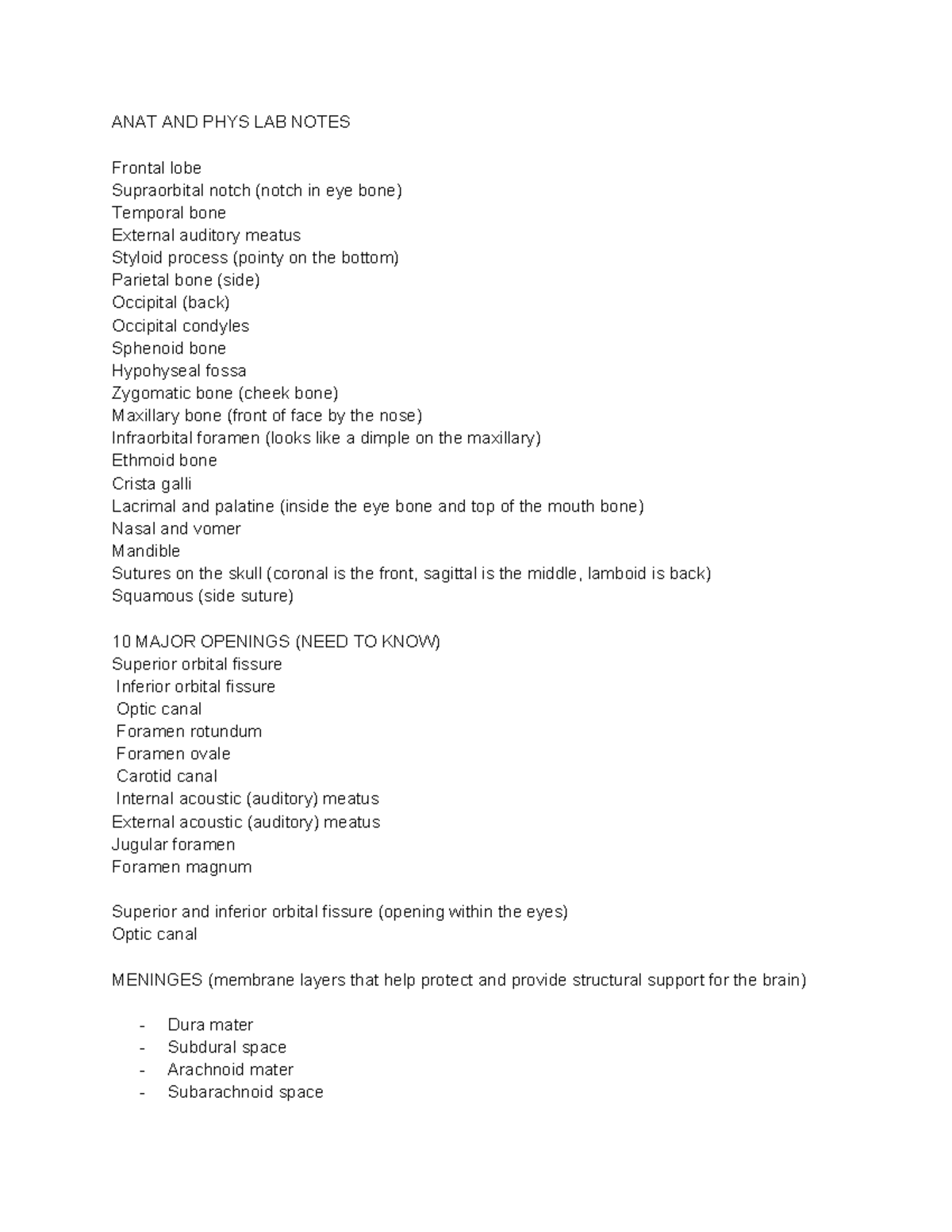 ANAT AND PHYS LAB NOTES – Key Concepts of Brain Structures - Studocu