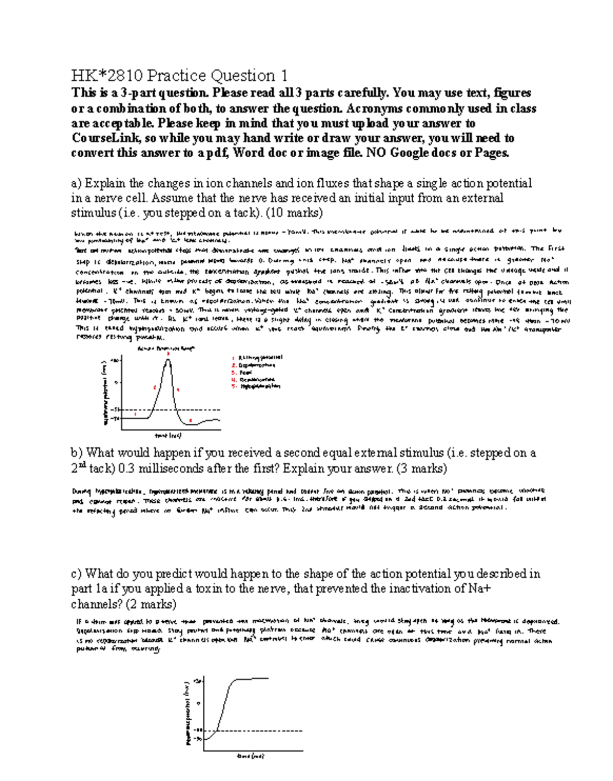 Practice Question 1: Action Potential Dynamics in Nerve Cells - Studocu