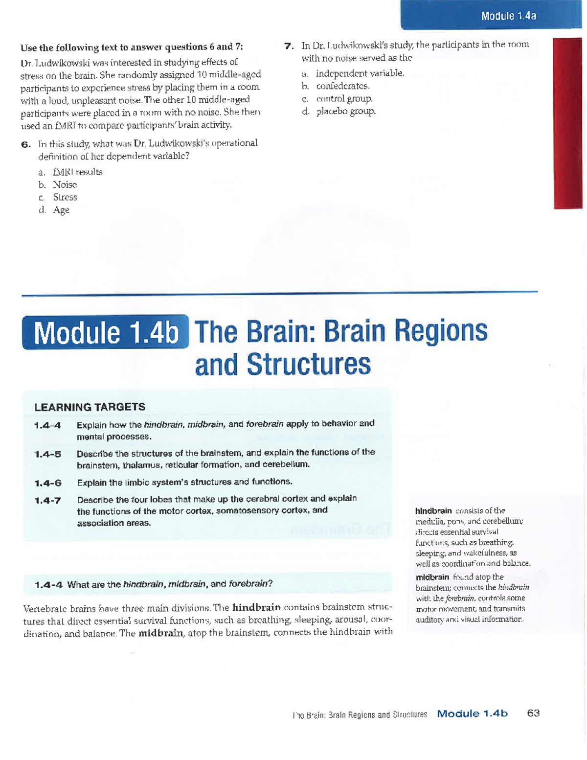 Final Exam Study Notes for Course XYZ 101: Brain Structures and ...
