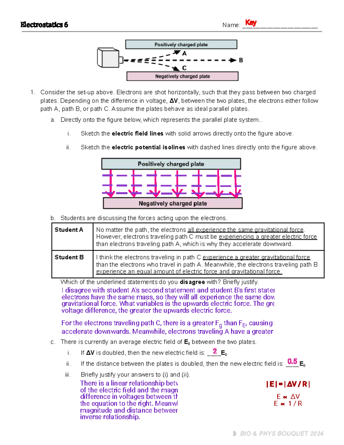 Electrostatics 6 Key Concepts and Analysis - BIO PHYS BOUQUET 2024 ...