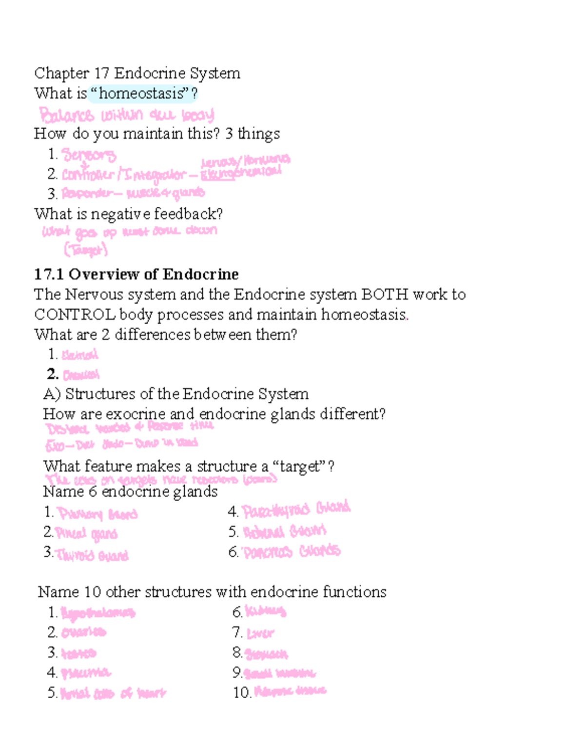 A&P Ch. 17 Endocrine System - Chapter 1 7 Endocrine System What is ...