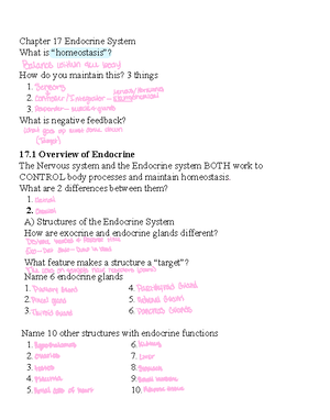 A&P Ch. 27 Reproductive System - Chapter 27 The Reproductive System ...