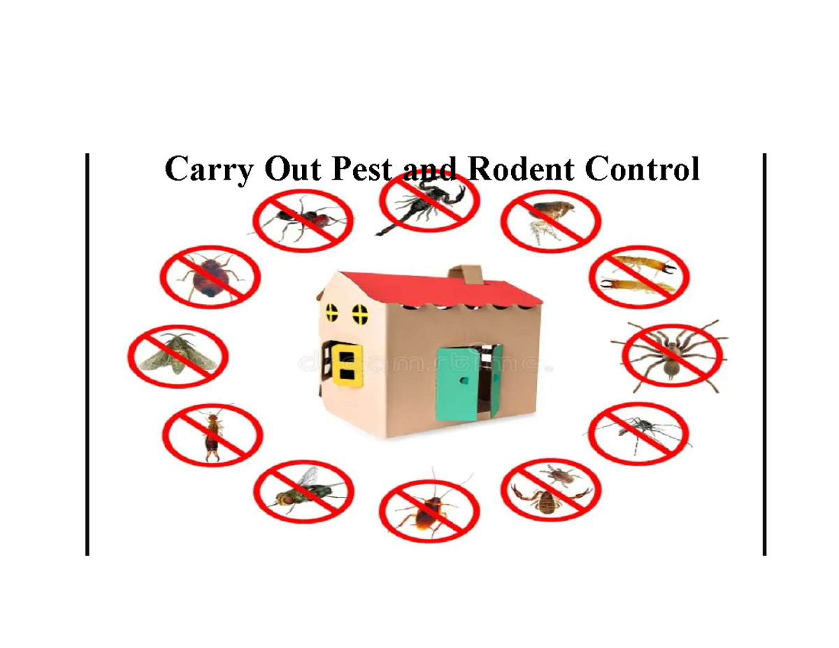 Pest and Rodent Control Measures in Hospitals: Key Definitions and ...