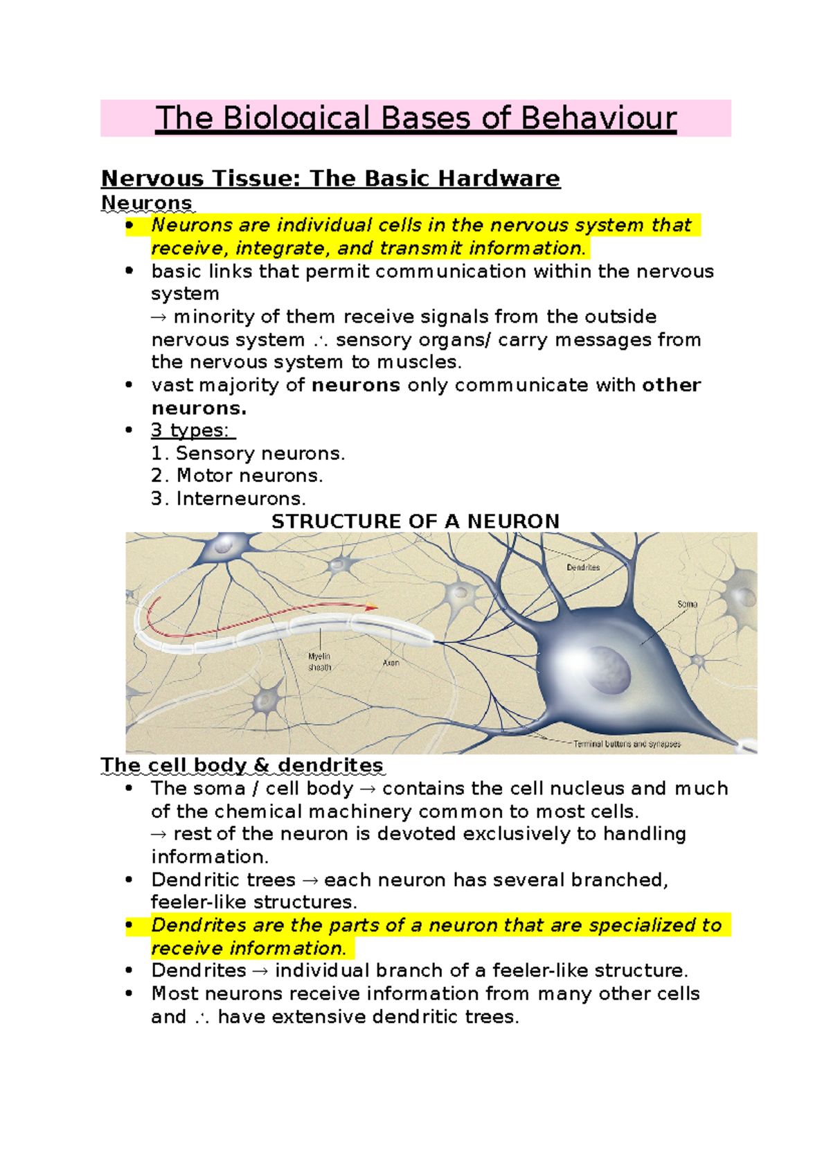 SLK Chapter 3 - Biological Bases of Behavior in Psychology - Studocu