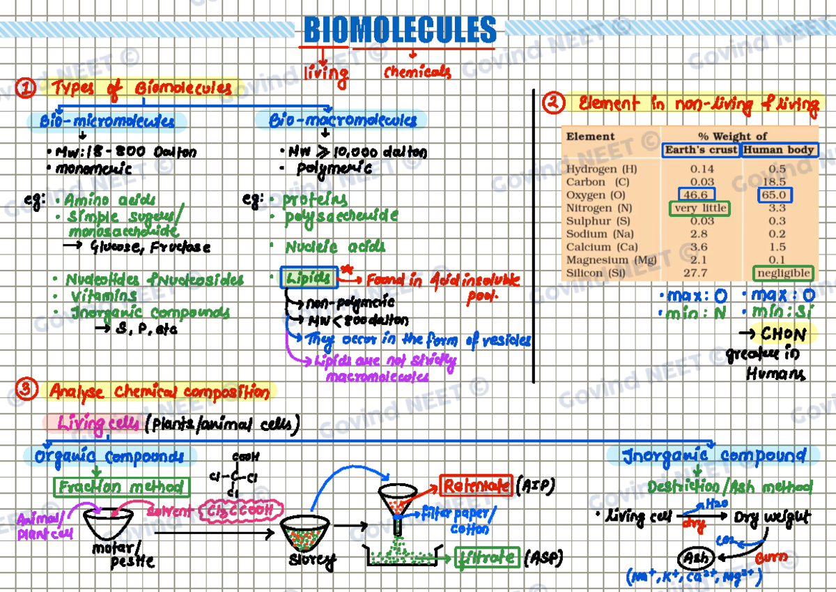 BIOMOLECULES: Types, Composition, and Functions in Living Organisms ...