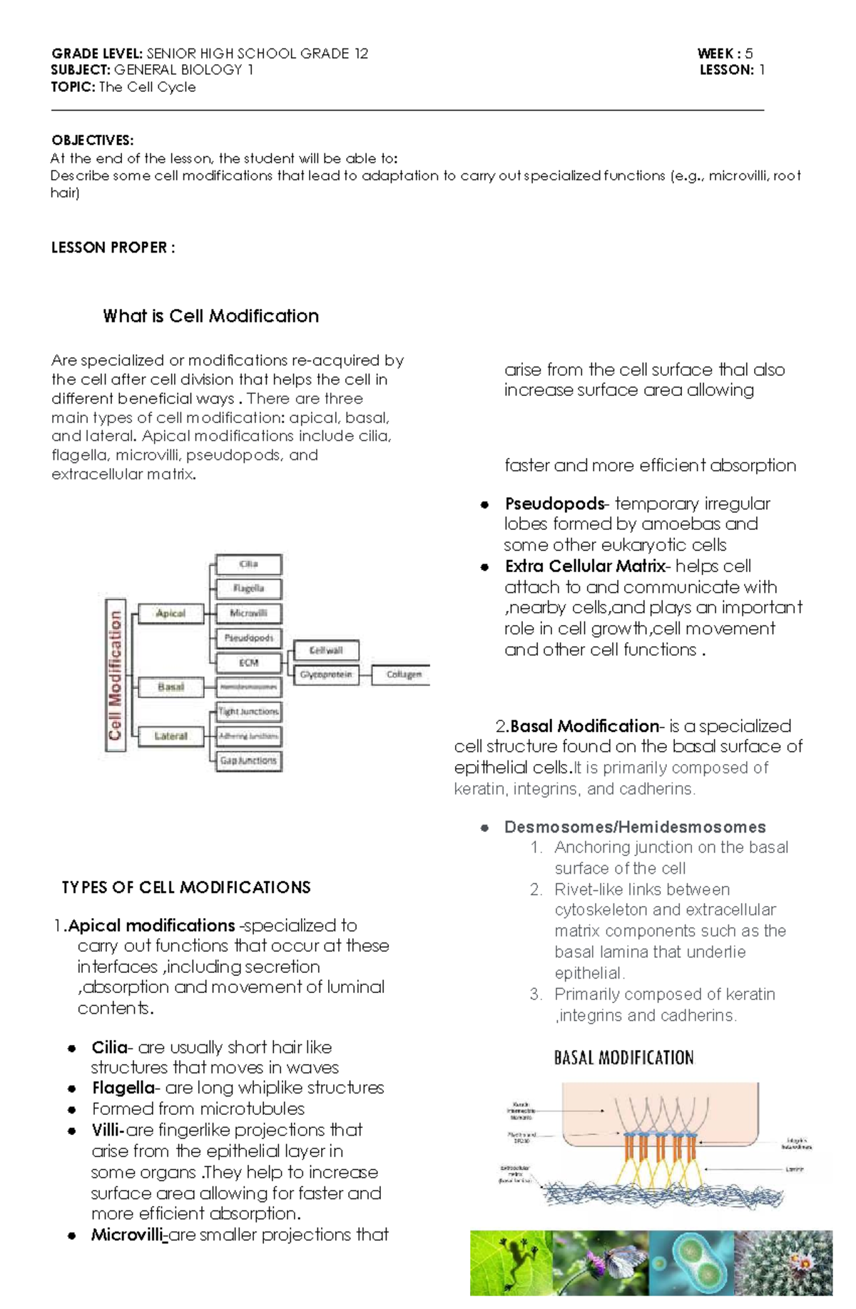 G12 General Biology 1 Lesson 1: Understanding Cell Modifications - Studocu