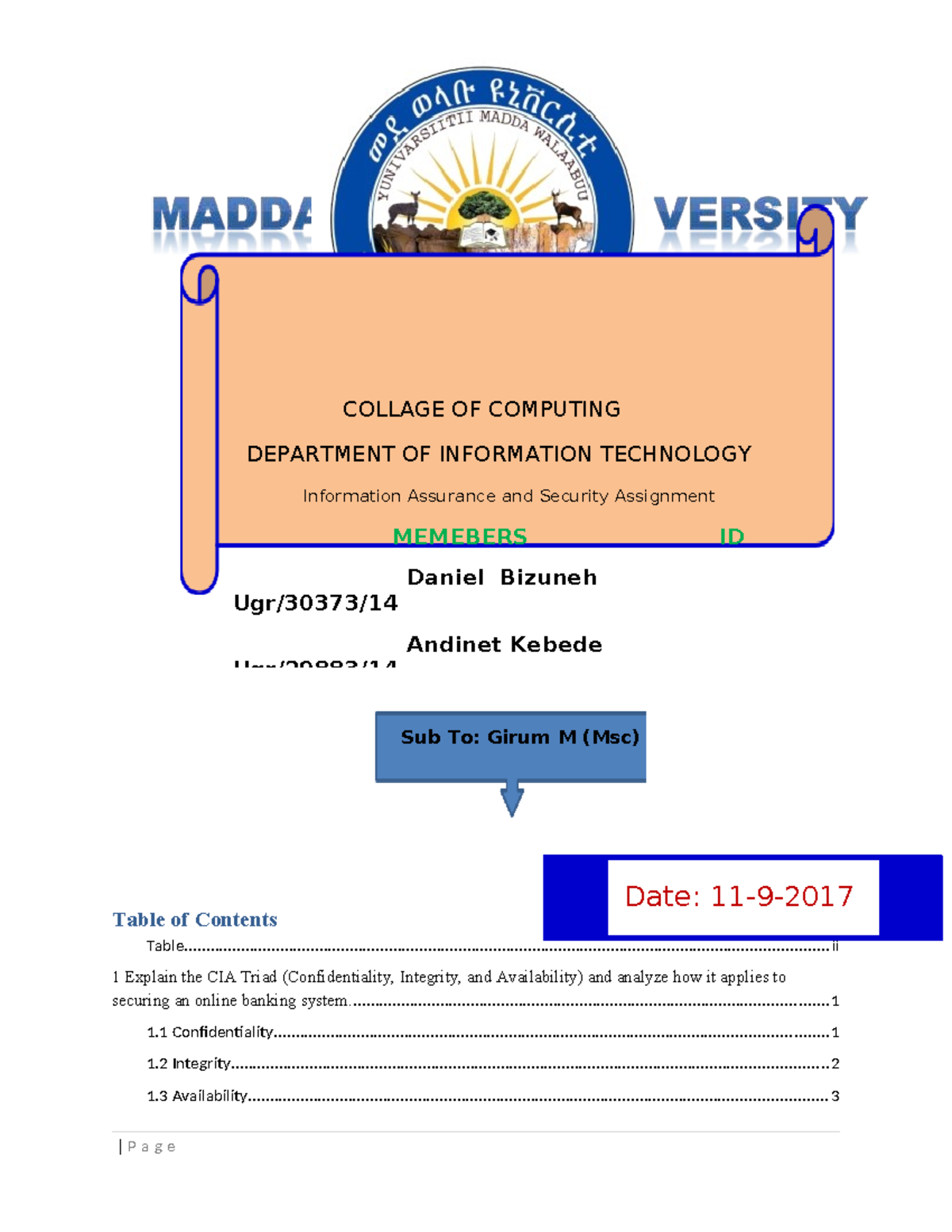 INFO SEC ASSIGNMENT 1: CIA Triad, Risk Assessment & Encryption Analysis ...