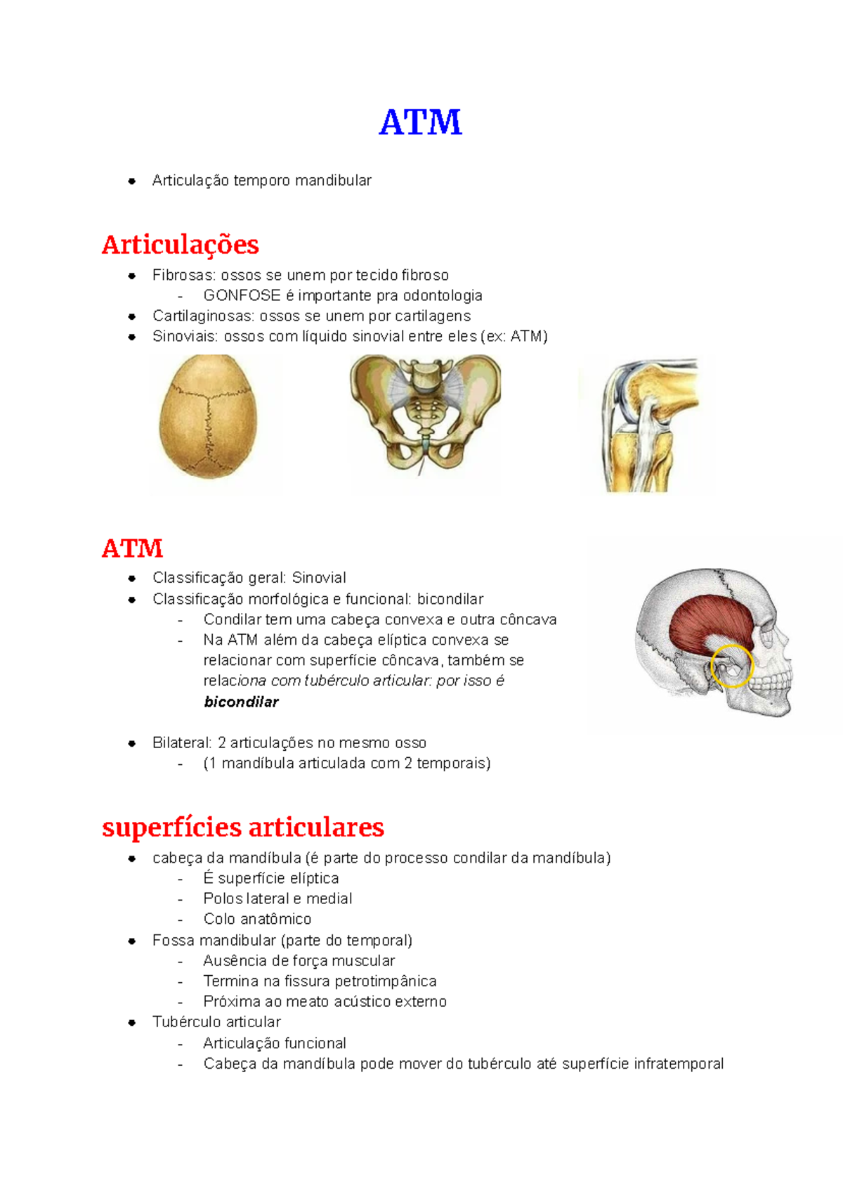 ATM - anatomia da articulação temporomandibular, músculos que inervam ...