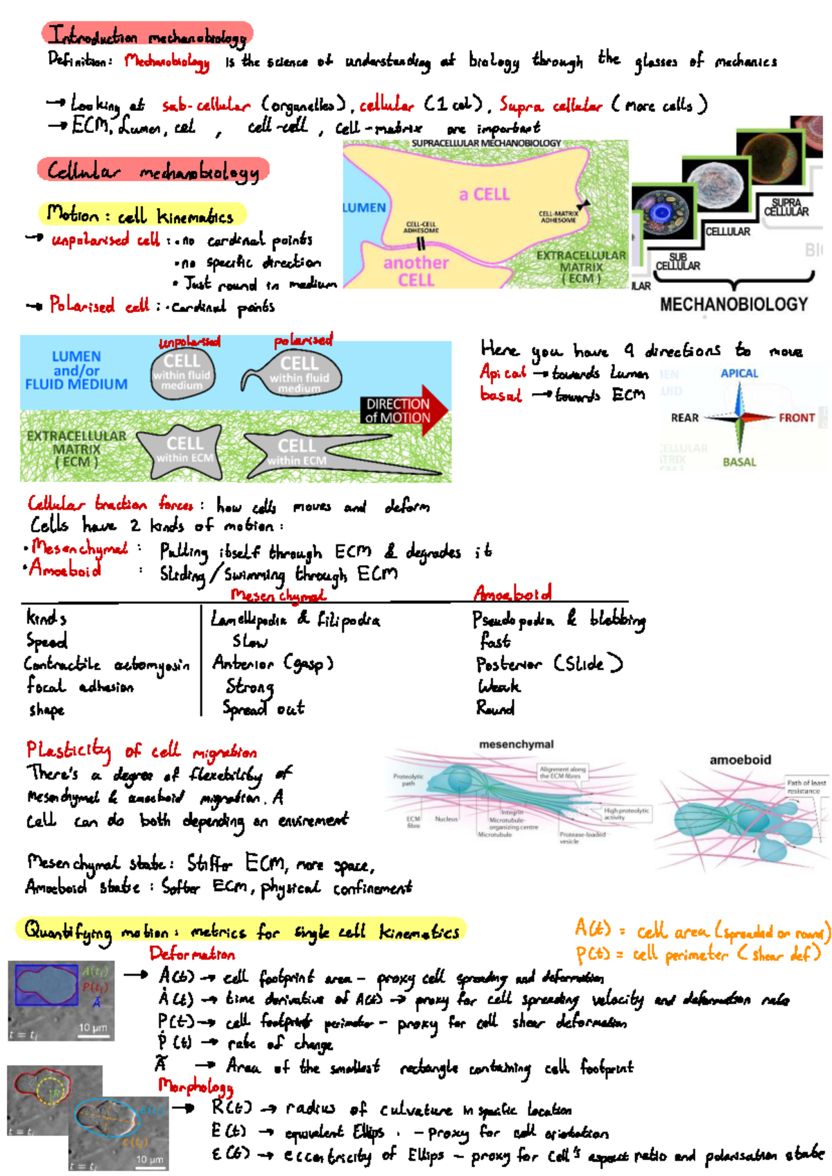 Mechano Biology Introduction: Understanding Cellular Motion and ...