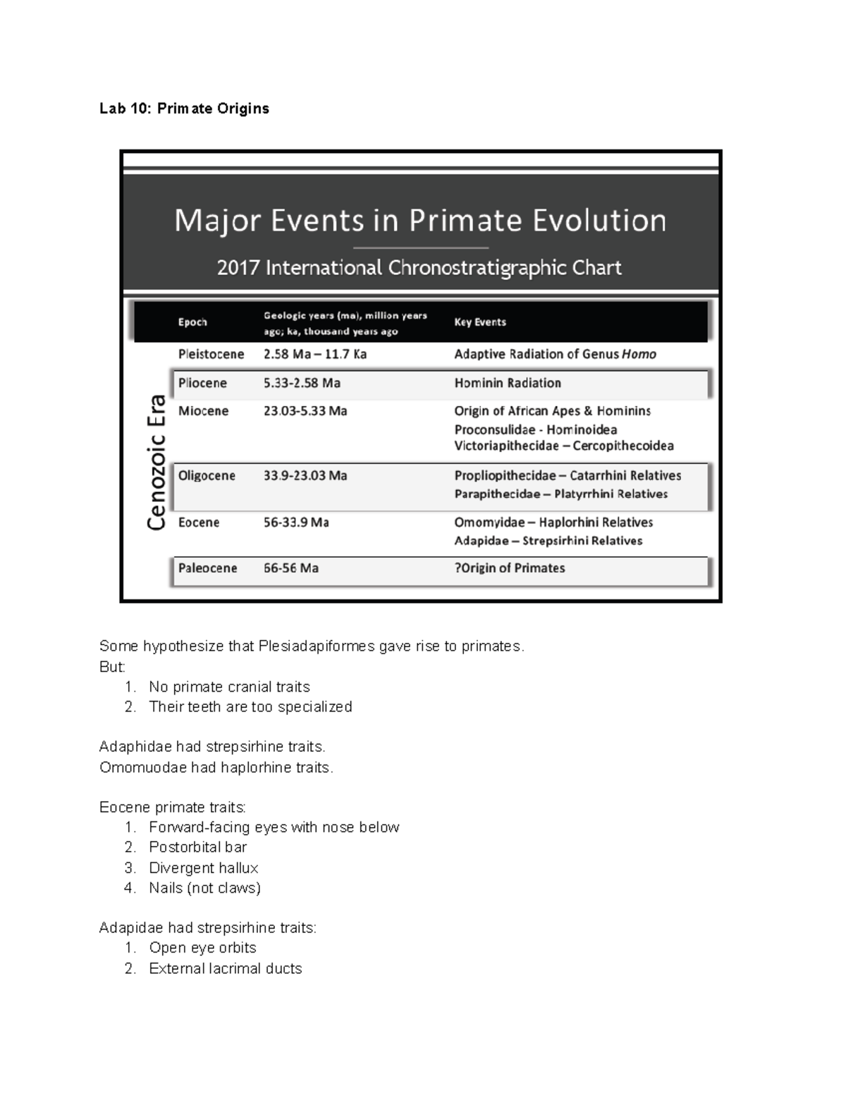 Lab Notes: Overview of Primate Origins (Biology 101) - Studocu