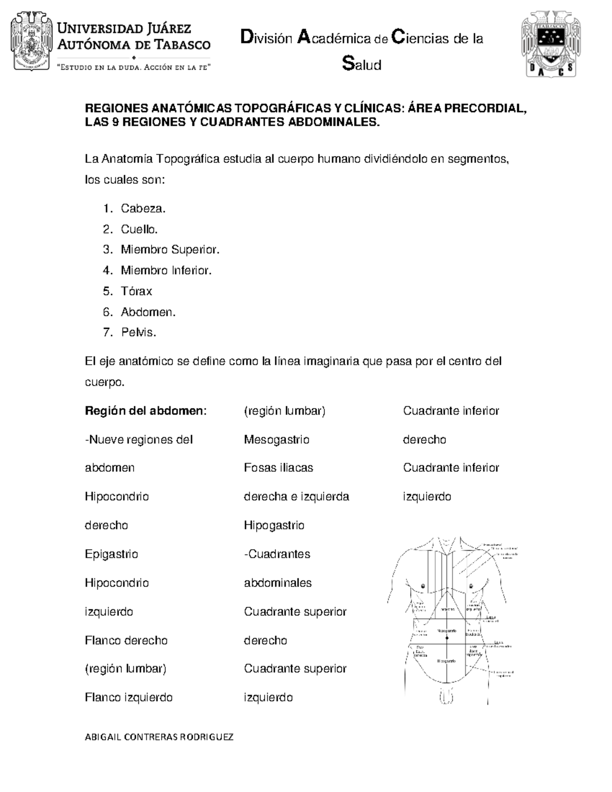 Regiones Anatómicas en Anatomía Topográfica y Clínica - ENF 1.1.2 - Studocu