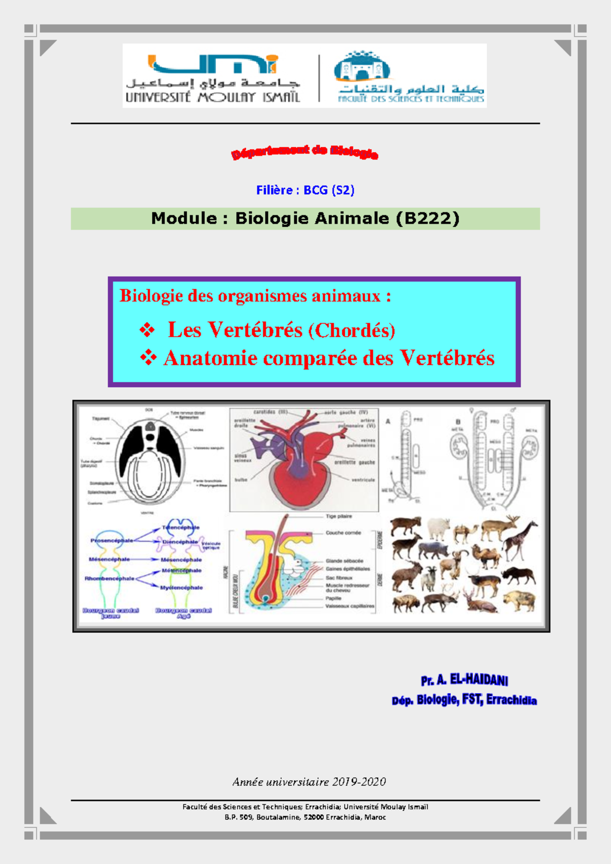 Biologie Animale Vertébrés - Module B222 Notes S2 - Studocu