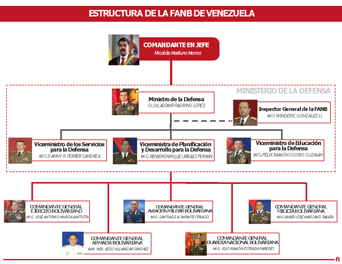 Estructura de la FANB de Venezuela - Informe 30/07/2023 - Studocu
