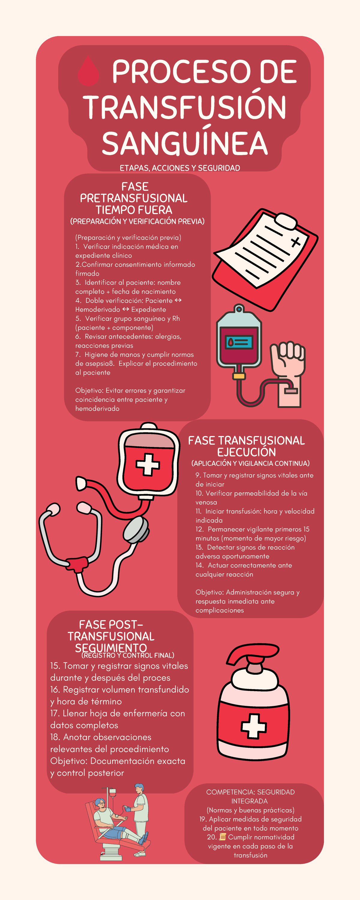 Infografía sobre Proceso de Transfusión Sanguínea y Seguridad - Studocu