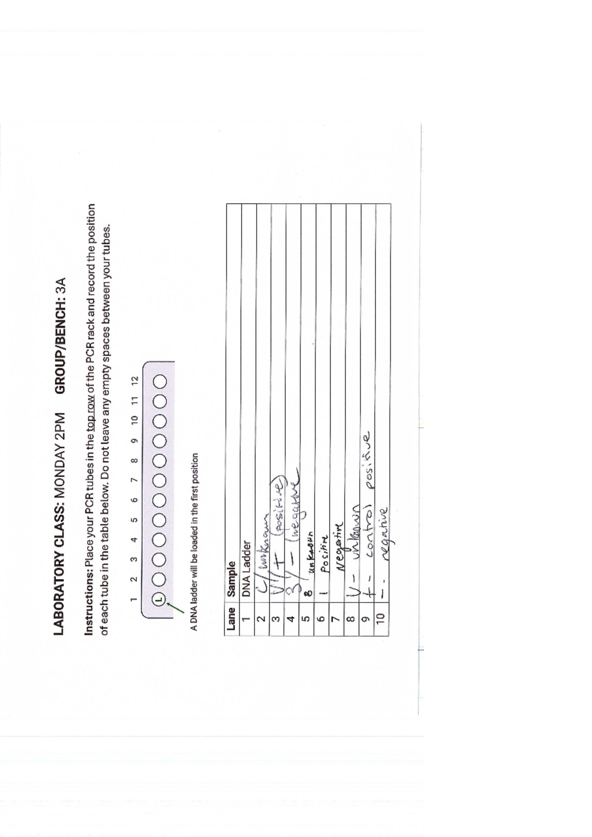 PCR Loading Sheet - Monday PM - Lab Group 3 - LABORATORY CLASS: MONDAY ...