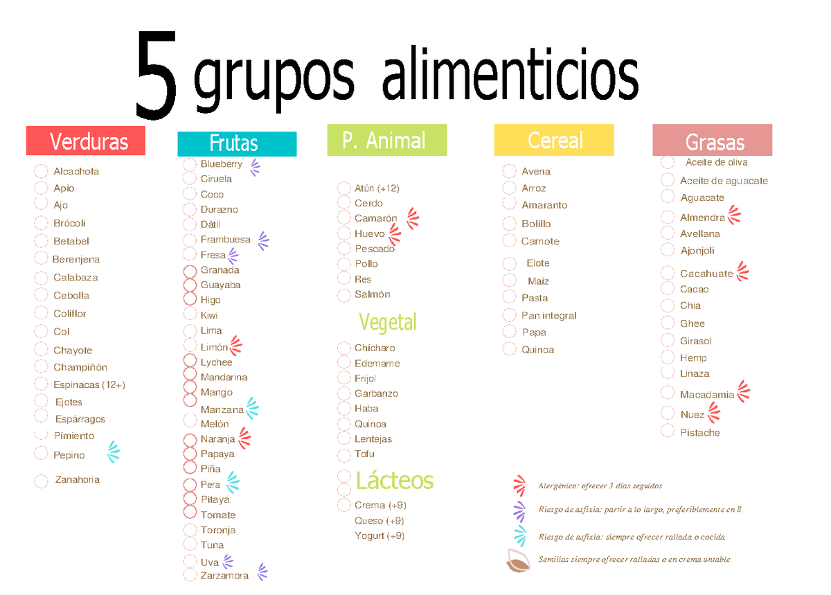 5 Grupos De Alimentos Alimentos Cinco Grupo Concepto De Salud ...