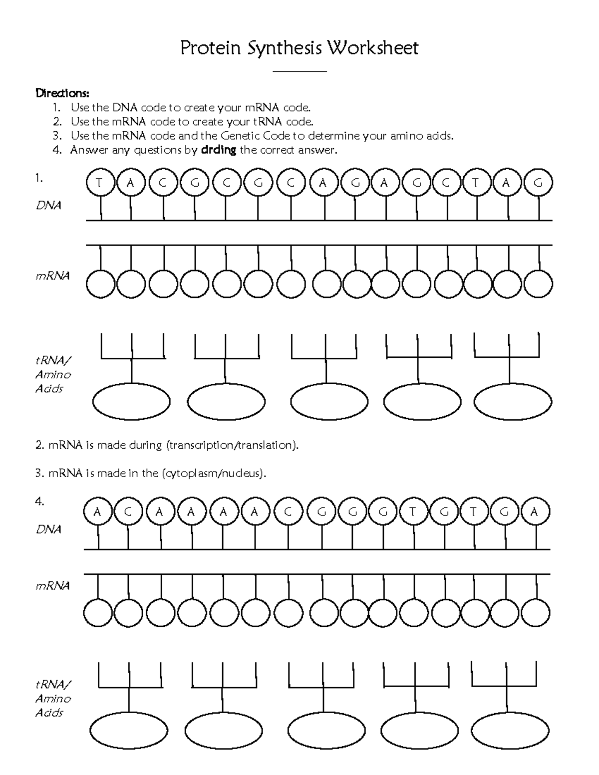 Visual Protein Synthesis Worksheet - Protein Synthesis Worksheet Directions: Use the DNA code to ...