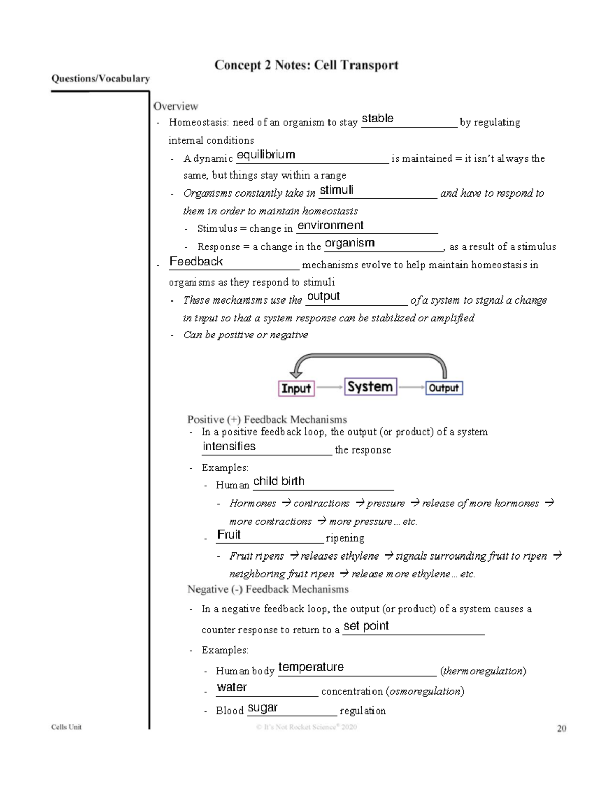 Cell Transport & Homeostasis Concept Notes (Bio 101) - Studocu