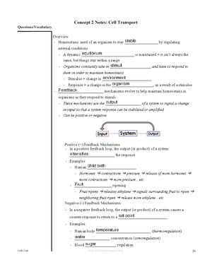 Understanding Cellular Functions: The "Cell City" Analogy Study Guide - Studocu