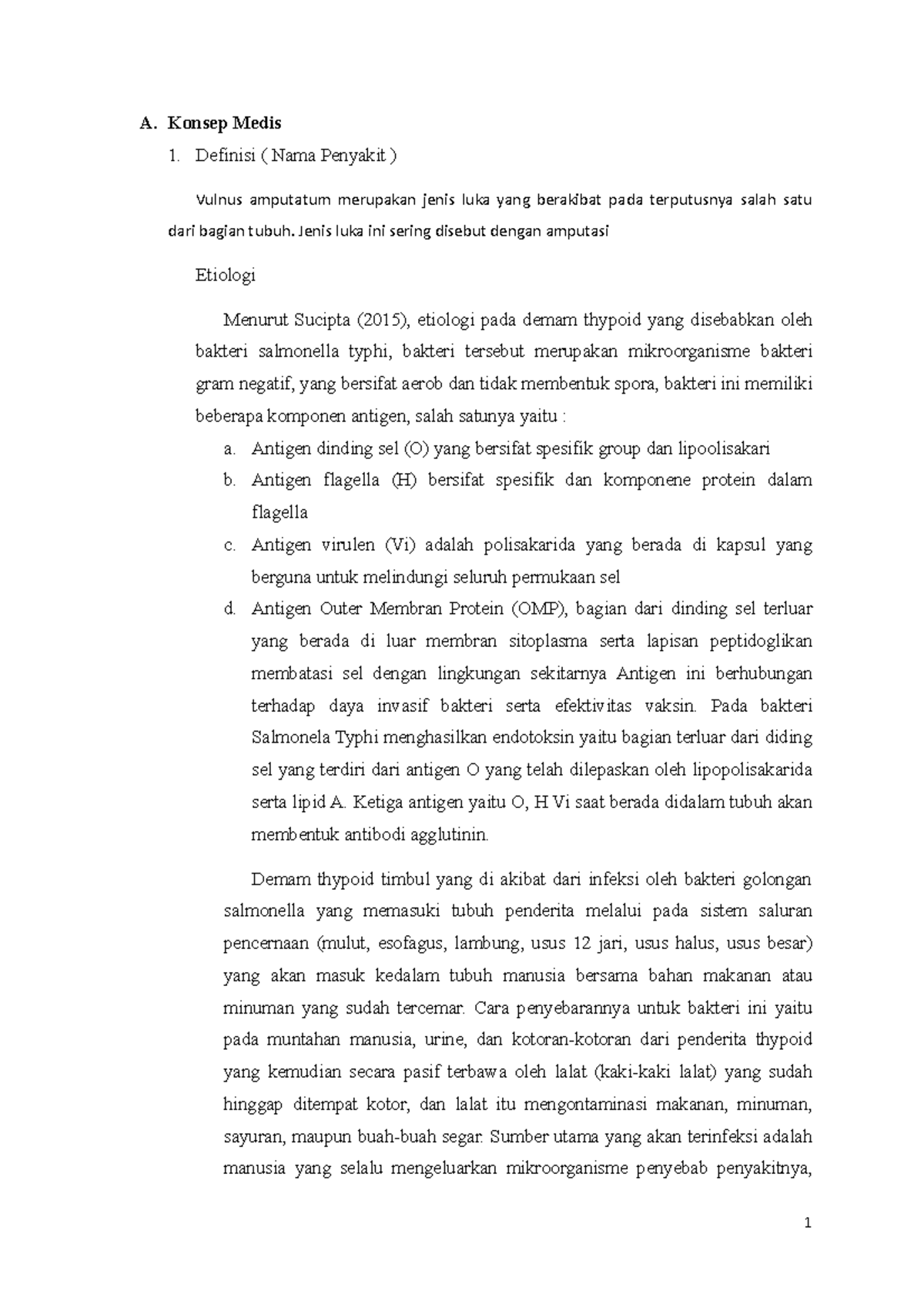 LP Vulnus - Laporan Pendahuluan tentang Demam Typhoid dan ...