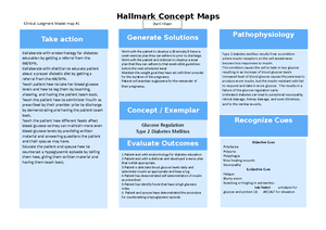 BSN 346 Concept Map 2 - NIGHTINGALE COLLEGE DIRECT-FOCUSED CARE ...