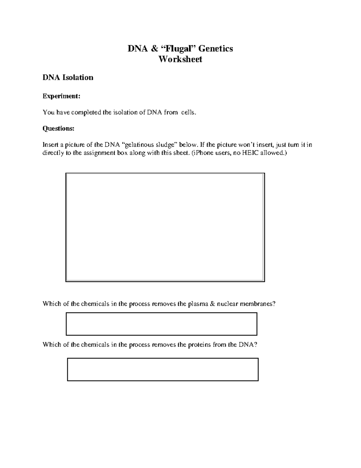 Genetics Worksheet: DNA Isolation & Flugal Genetics Analysis 2023 - Studocu