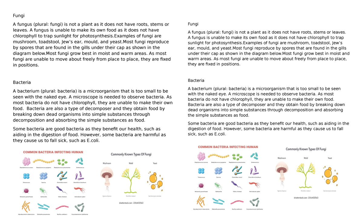 Microorganisms: Fungi and Bacteria Overview - Additional References ...