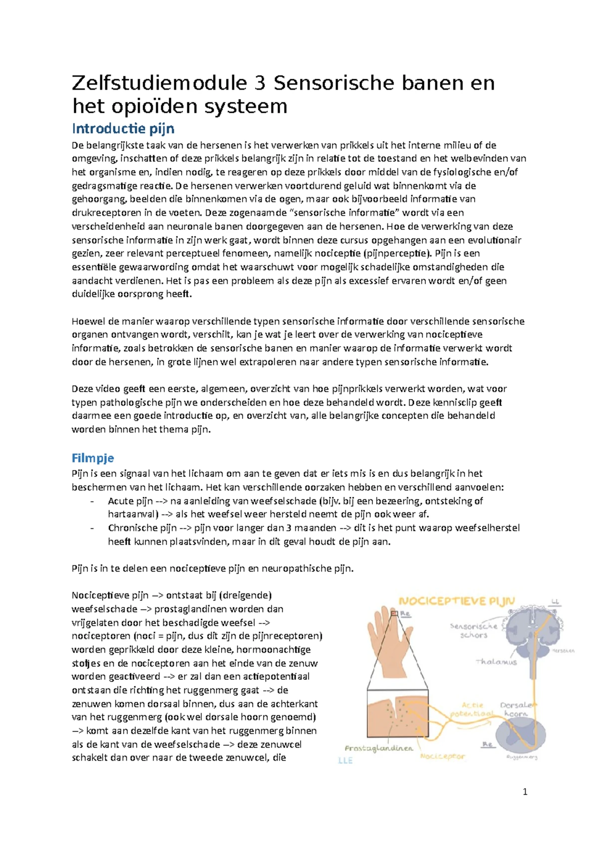 Zelfstudiemodule 1 - De bouw van de zenuwcel (1) Cellichaam ...