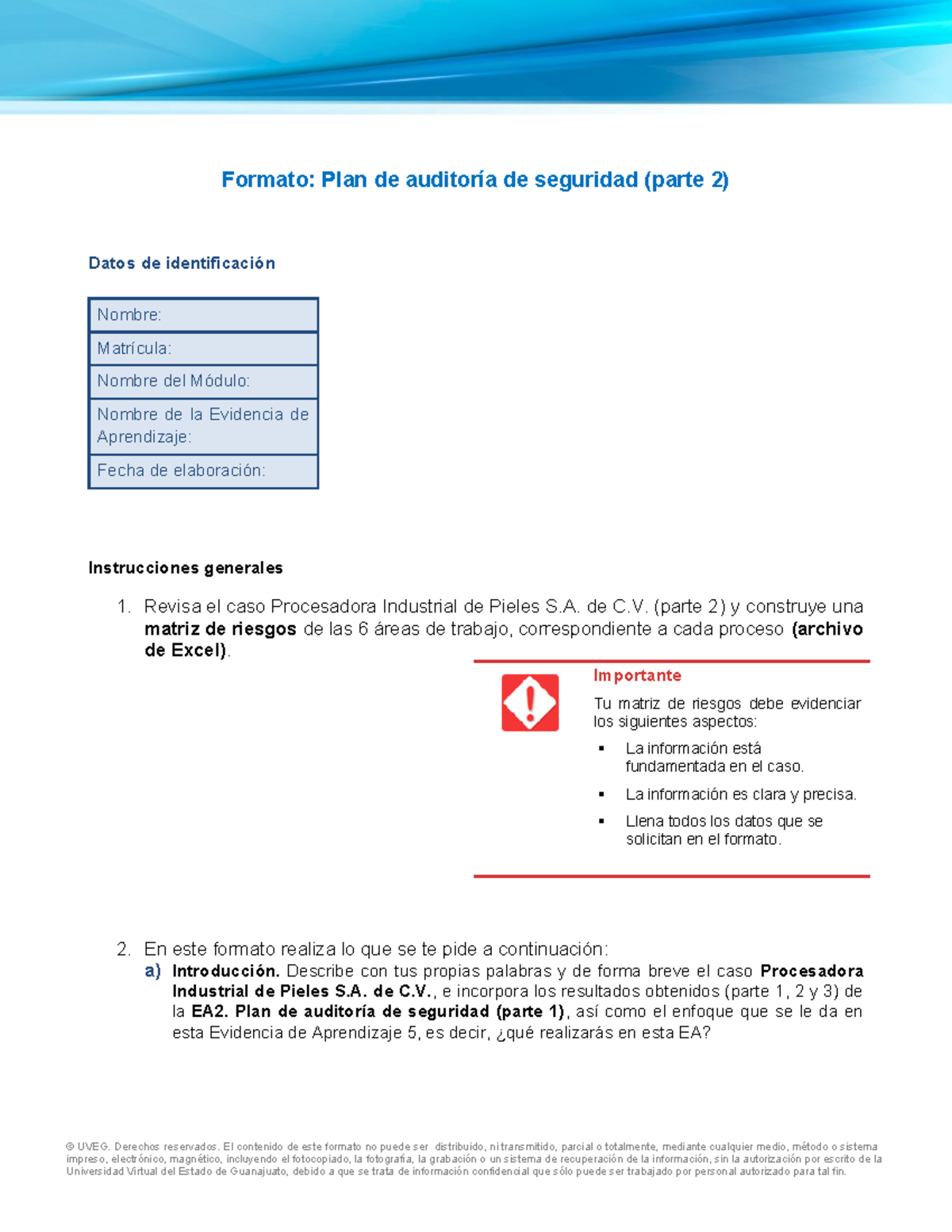 Plan de Auditoría de Seguridad II - Procesadora Industrial de Pieles S ...