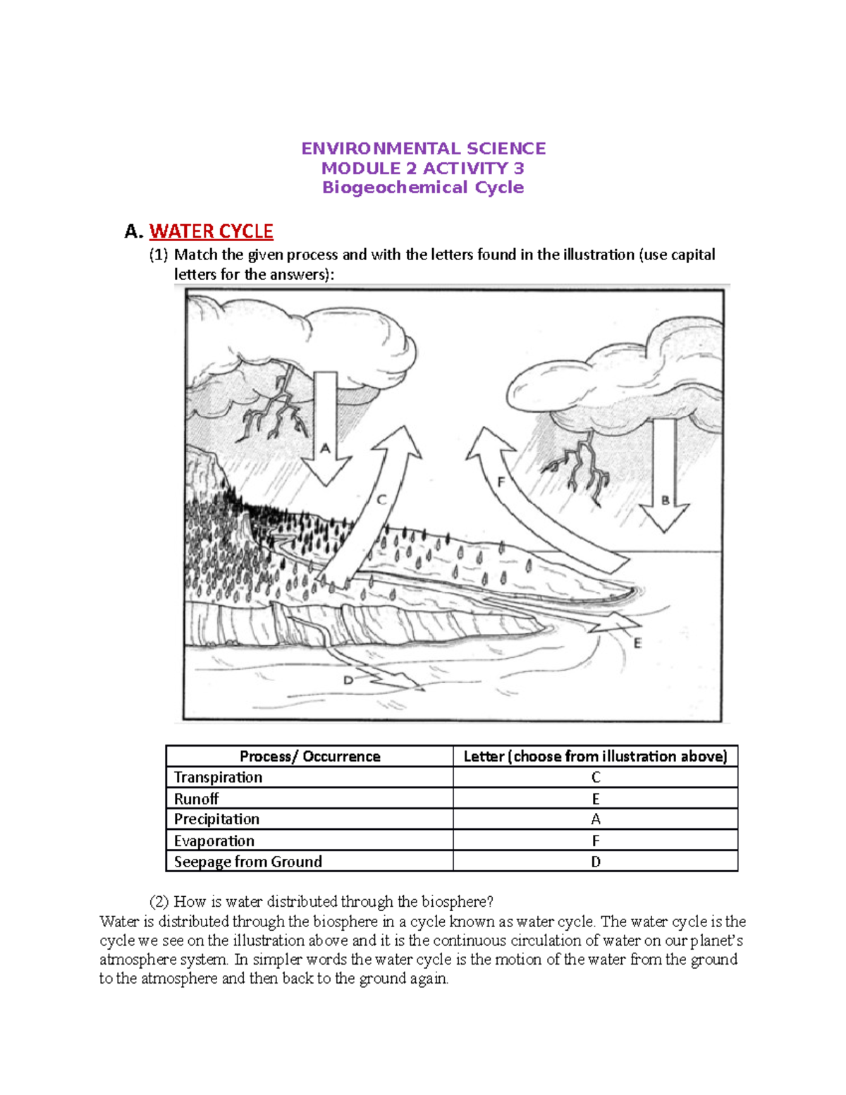 ZGE 4103 Module 2 Activity 3 - Biogeochemical Cycles Explained - Studocu