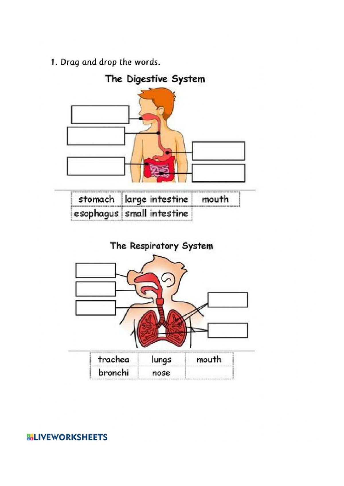 Worksheet 100219 - Prep - English assignments - 1. Drag and drop the ...