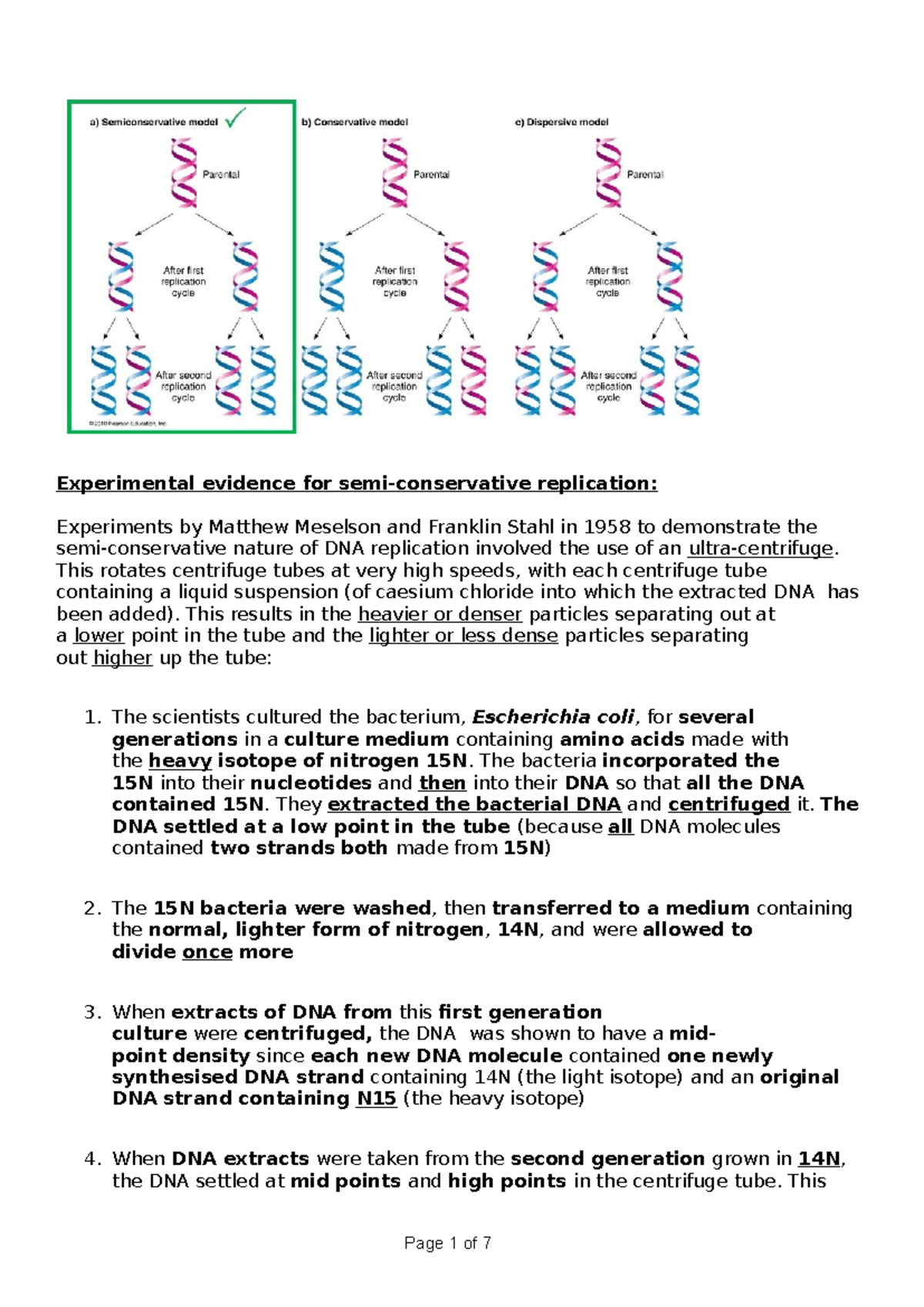 DNA Replication: Past Paper Questions and Analysis (Biology 101) - Studocu