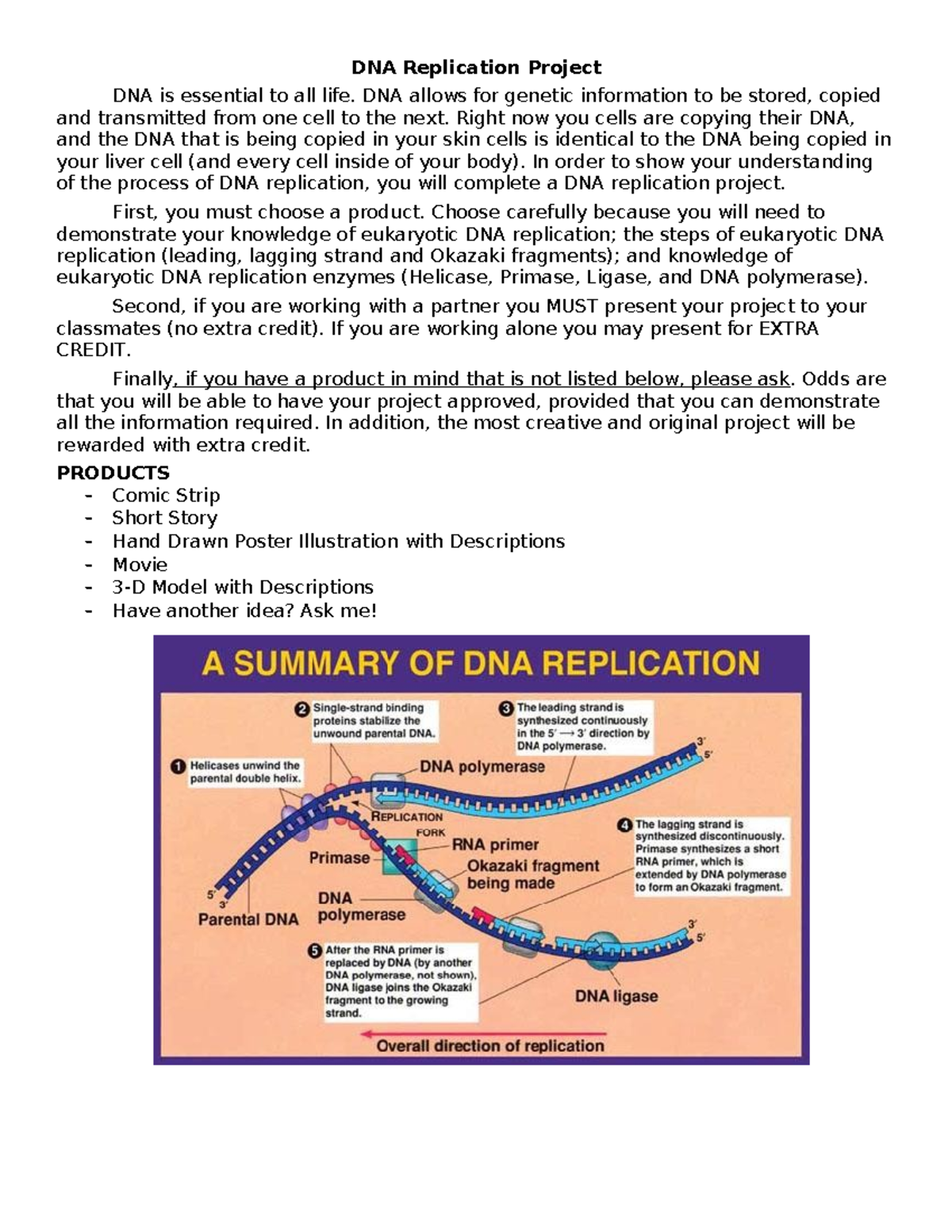 Copy of DNA Replication Project - DNA Replication Project DNA is ...