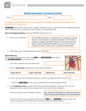 SNC2D Light and Optics Test Review Notes and Sample Questions - SNC2D ...