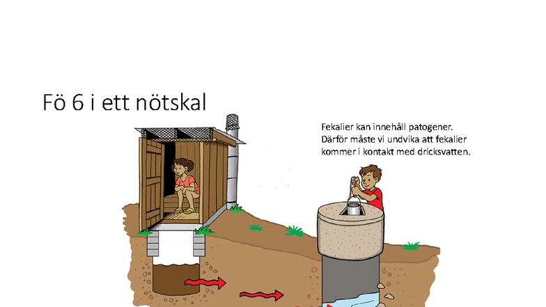 Fö 6: Patogener och deras påverkan på dricksvattenkvalitet - Studocu