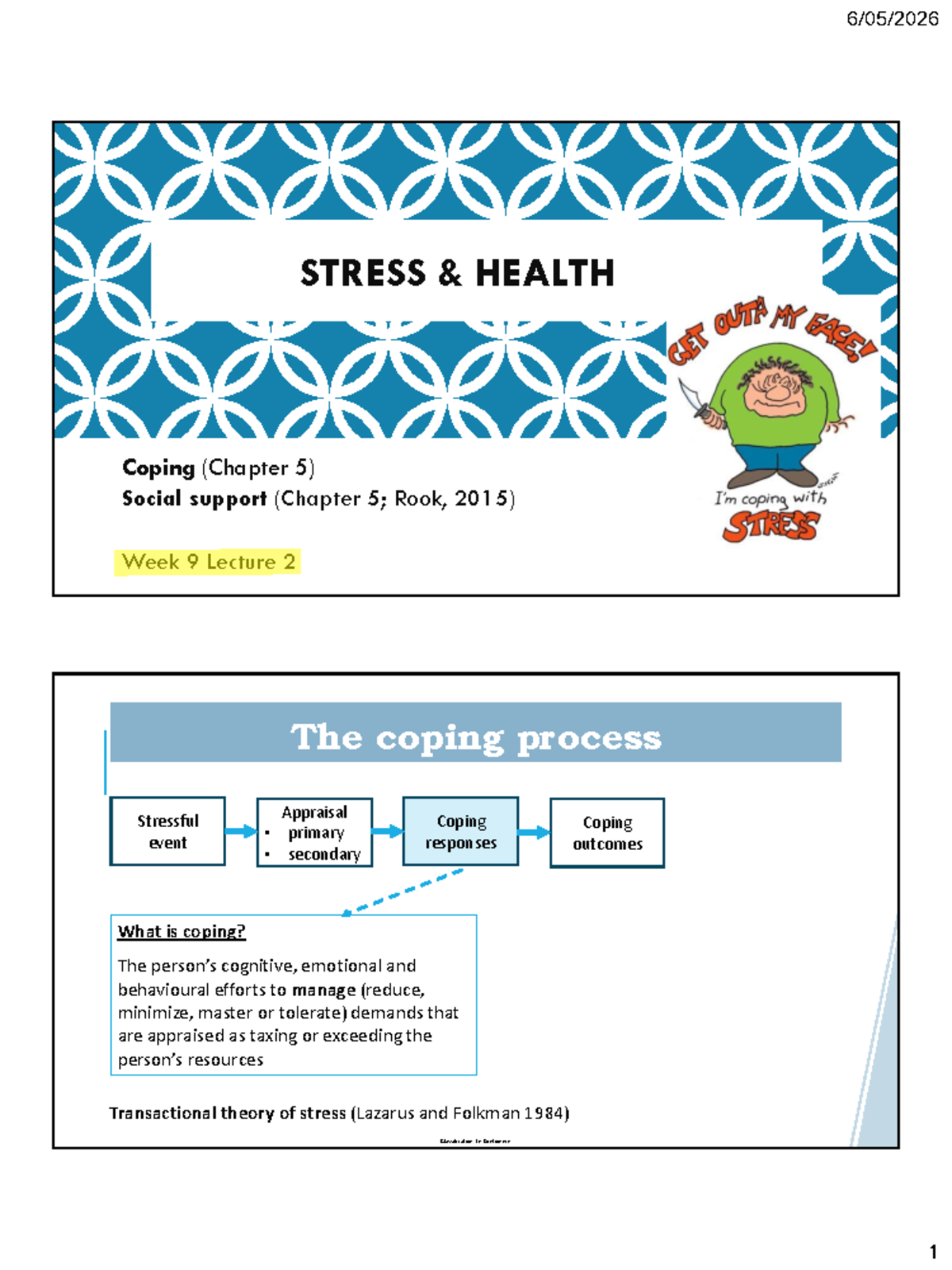 Stress & Health: Coping Strategies (Week 9 Lecture 2) - Studocu