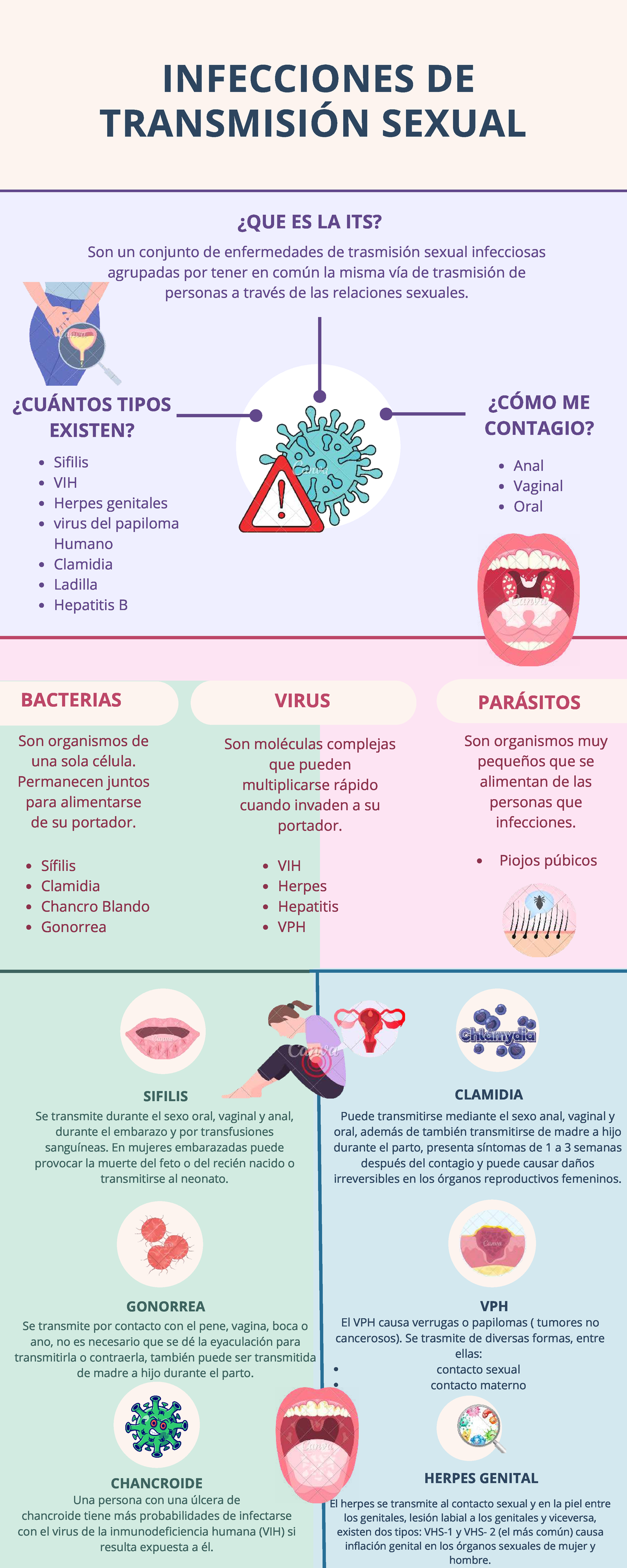 S13 Sexualidad Resumen Sobre Infecciones De Transmisión Sexual Studocu
