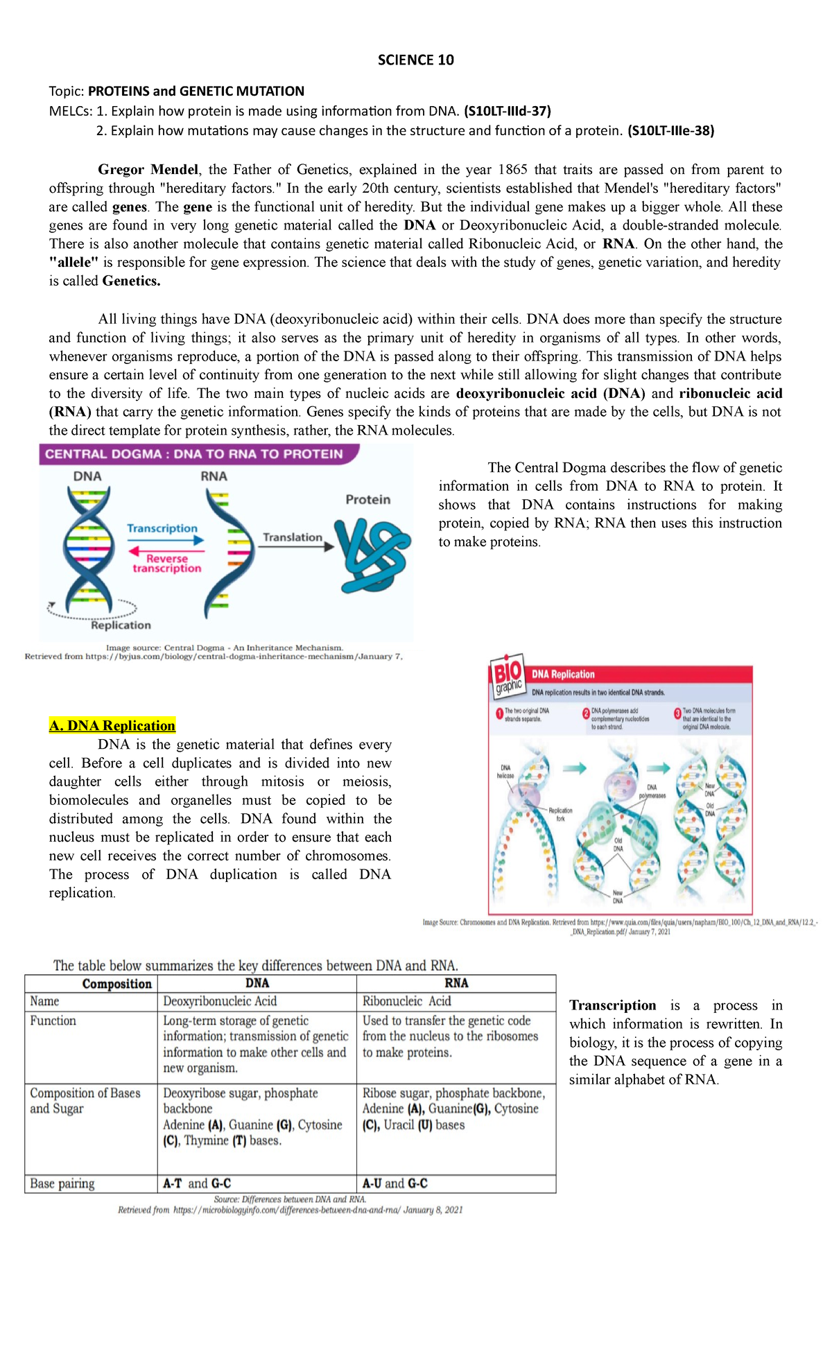 Science 10 - Understanding Proteins & Genetic Mutations in DNA - Studocu