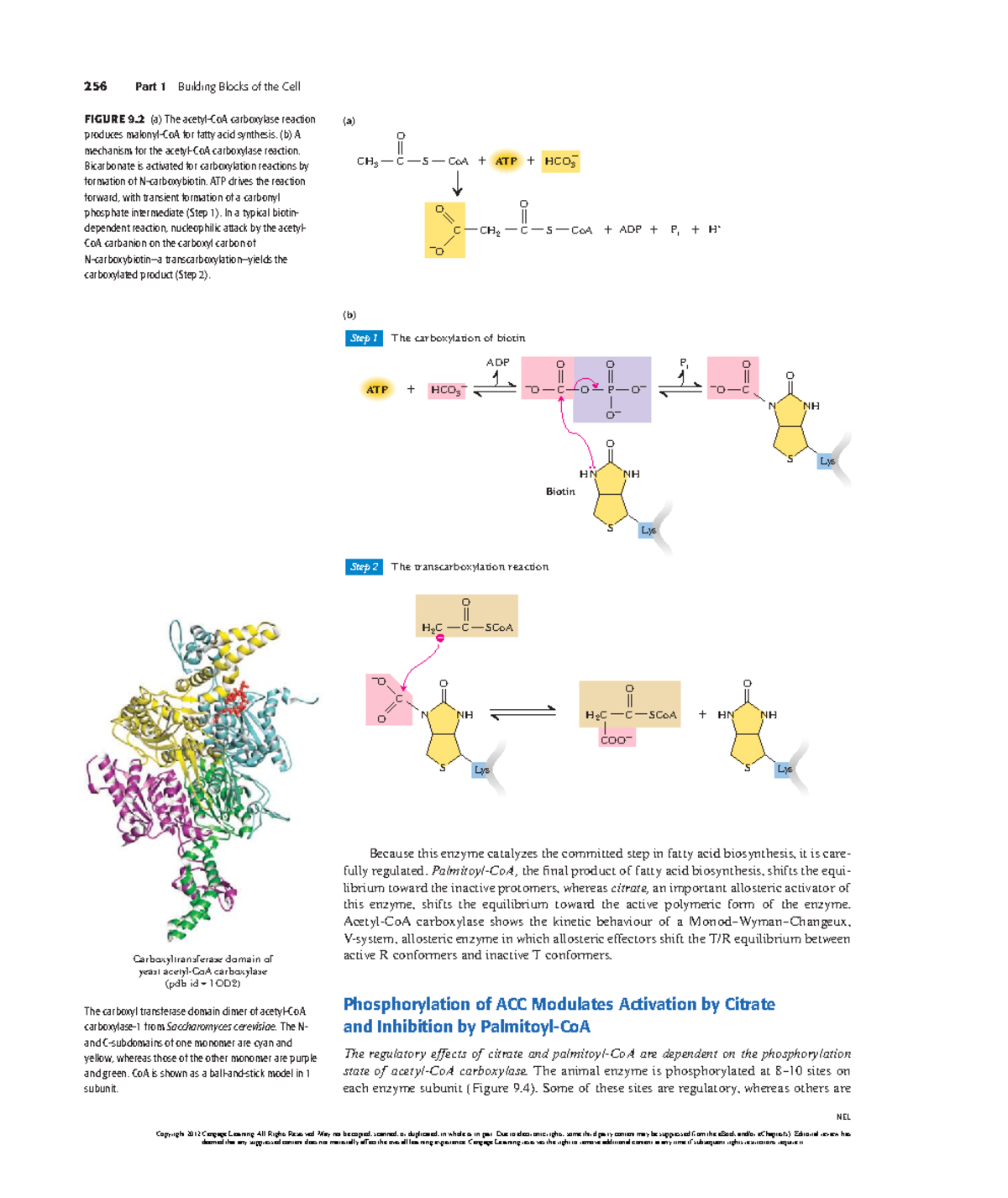 Biochemistry (2)-100 - N/A - 256 Part 1 Building Blocks of the Cell NEL ...